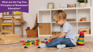 What are the Top Five Principles of Montessori Education?